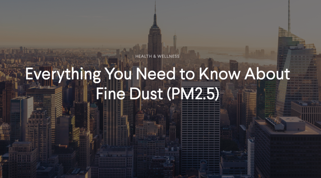 What is Fine Dust and how to manage it | BizCare, Inc.
